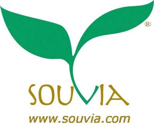 Souvia Tea, educating the customer on the quality and benefits of tea ...