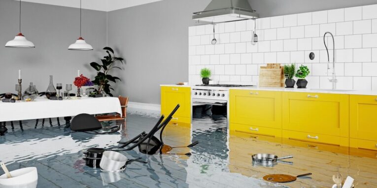 How a Professional Restorer Can Perform Step-by-Step Flood Damage ...