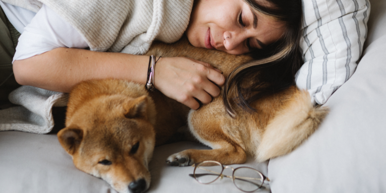 Common Behavioral Problems in Dogs and Their Solutions - Top ...