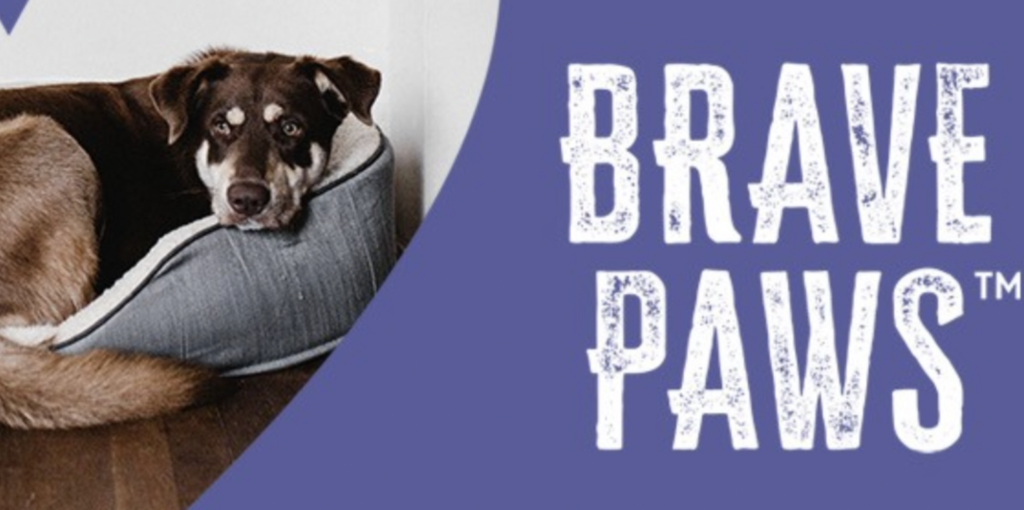 Brave Paws Anxiety and Stress Support Chewables for Dogs - Top ...