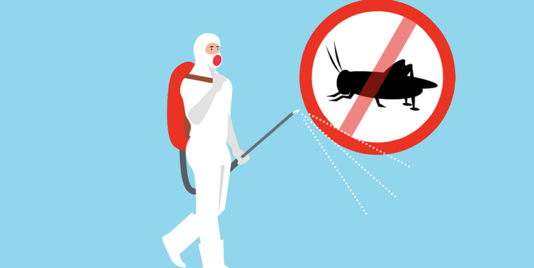 No Entry for Pests This Summer! Some Dos and Don'ts to Prevent Pests ...