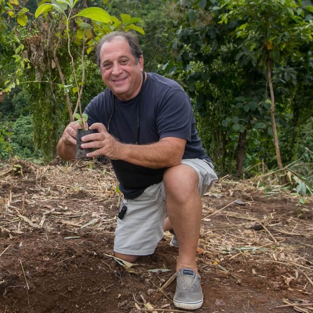 What To Think About When Buying New Dining Room Furniture - Top ...