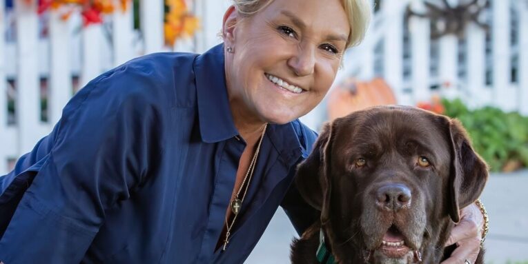 Bark, Bond, Believe: It's a Tug Life - A Wholesome Story About Family ...